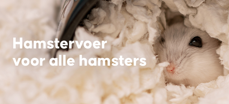 Hamstervoer kopen? Pellet, gemengd of muesli - Pets Place